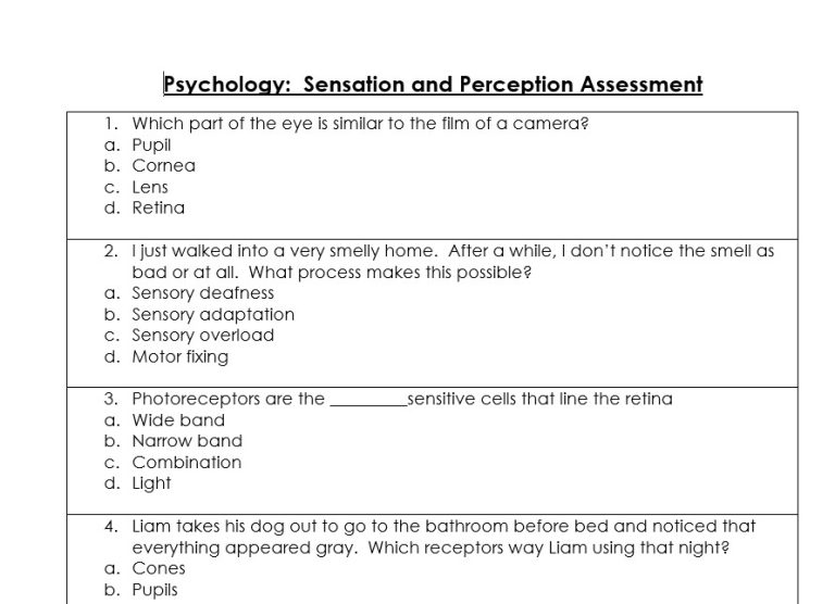 Psychology: Sensation and Perception Assessment/Test | Made By Teachers