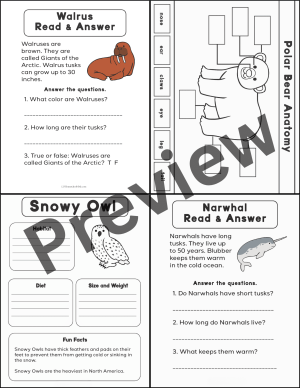 Polar Animals Research Project | Arctic Animals Worksheets & Activities ...
