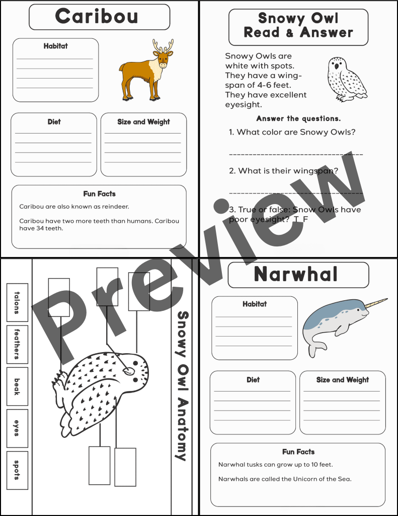 Polar Animals Research Project | Arctic Animals Worksheets & Activities ...