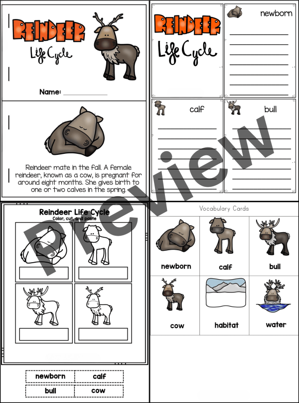 Reindeer Life Cycle | Winter Activities and Worksheets | Winter Animals ...