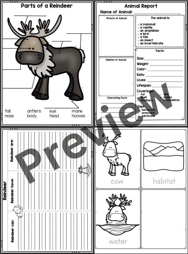 Reindeer Life Cycle | Winter Activities and Worksheets | Winter Animals ...