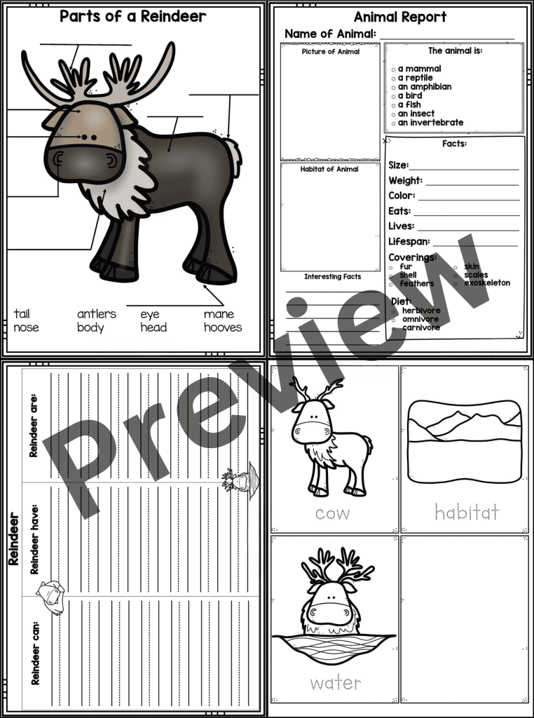Reindeer Life Cycle | Winter Activities and Worksheets | Winter Animals ...