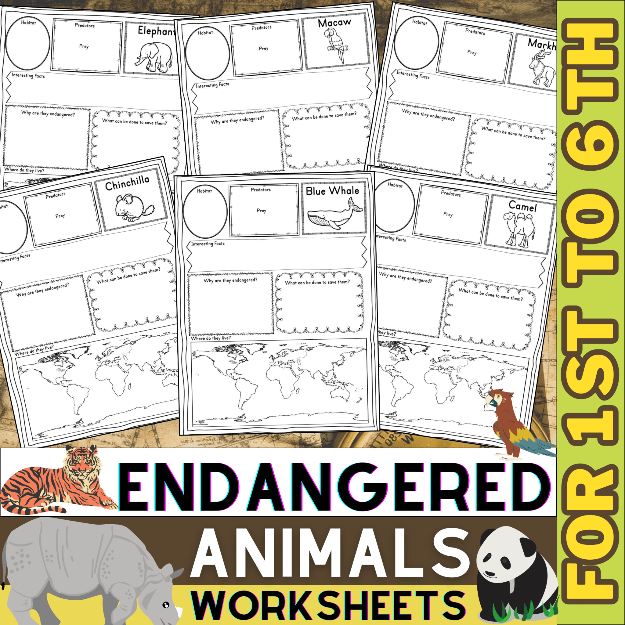 Endangered Animal Research Project | Animals Worksheet Habitats and ...