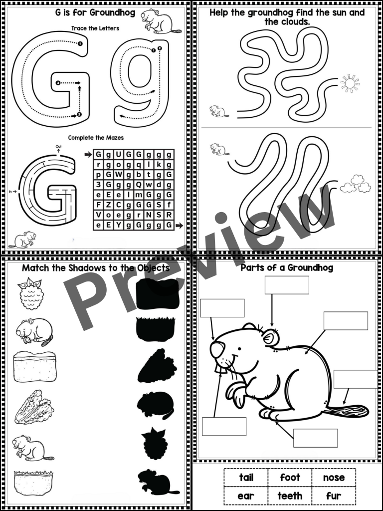 Groundhog Day Activities and Worksheets | No Prep | For Prek, K and 1st ...