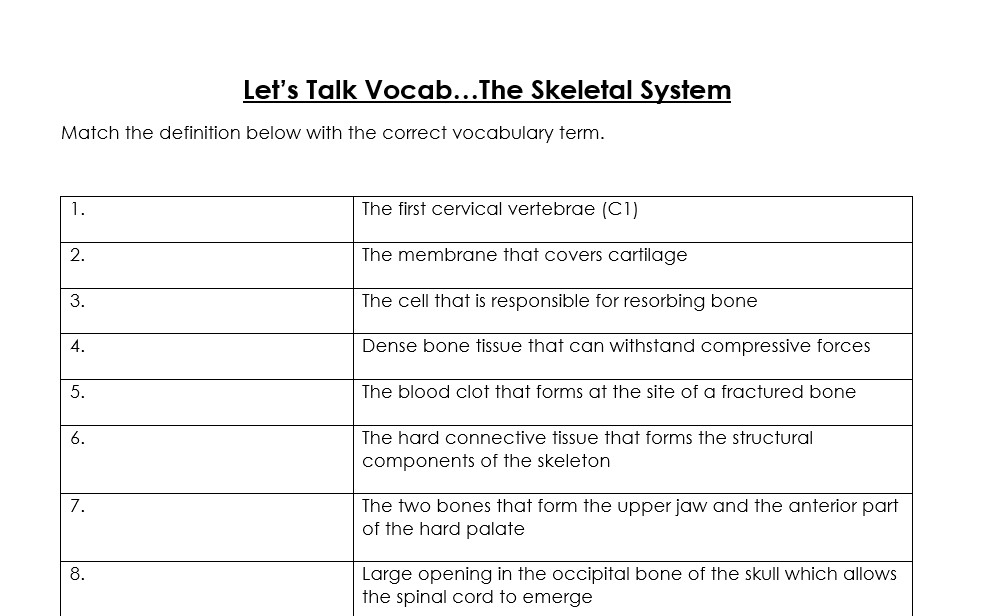 Let's Talk Vocab...The Skeletal System Worksheet (Anatomy, Biology ...