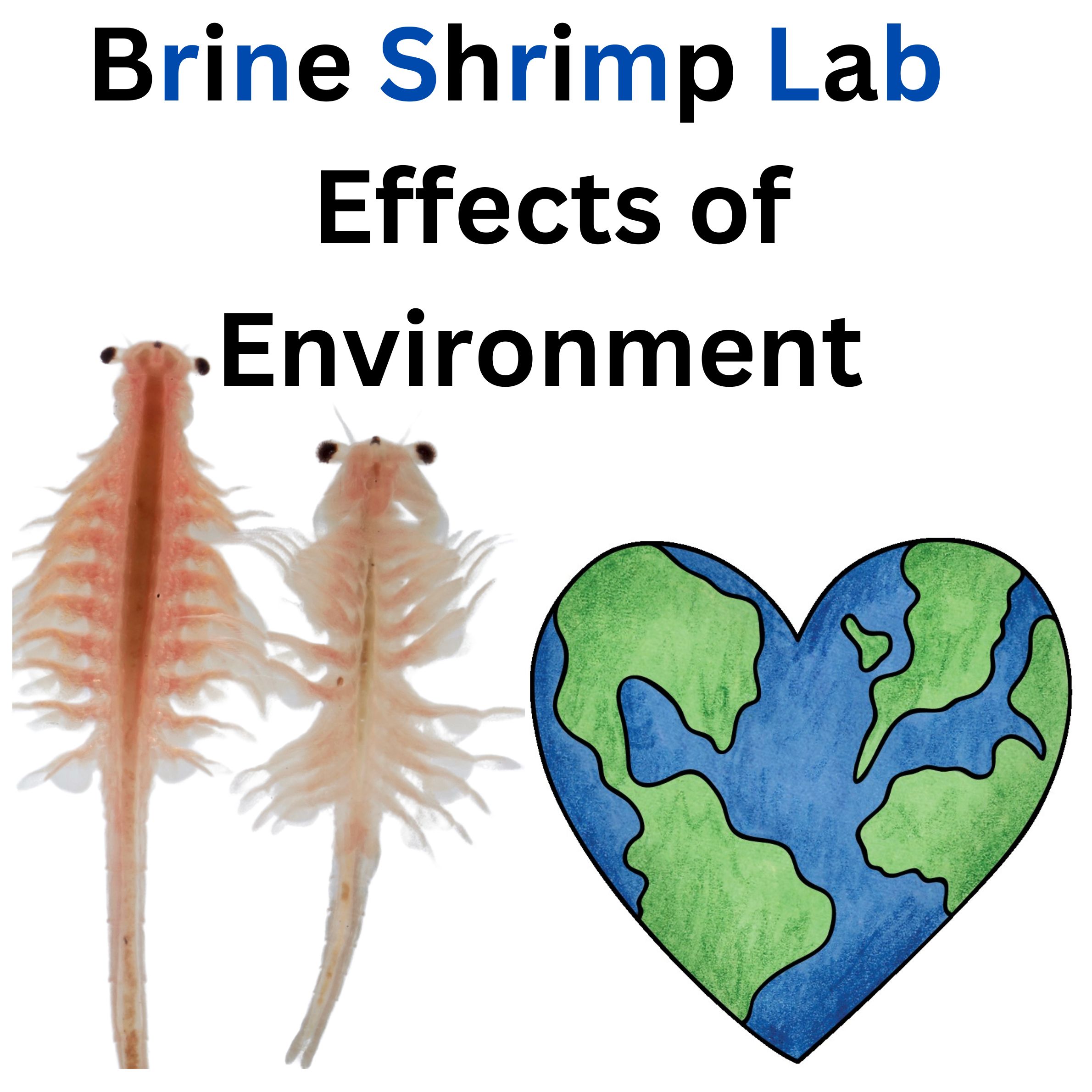 AP Biology Evolution and Common Ancestry Labs and Multiple Choice ...