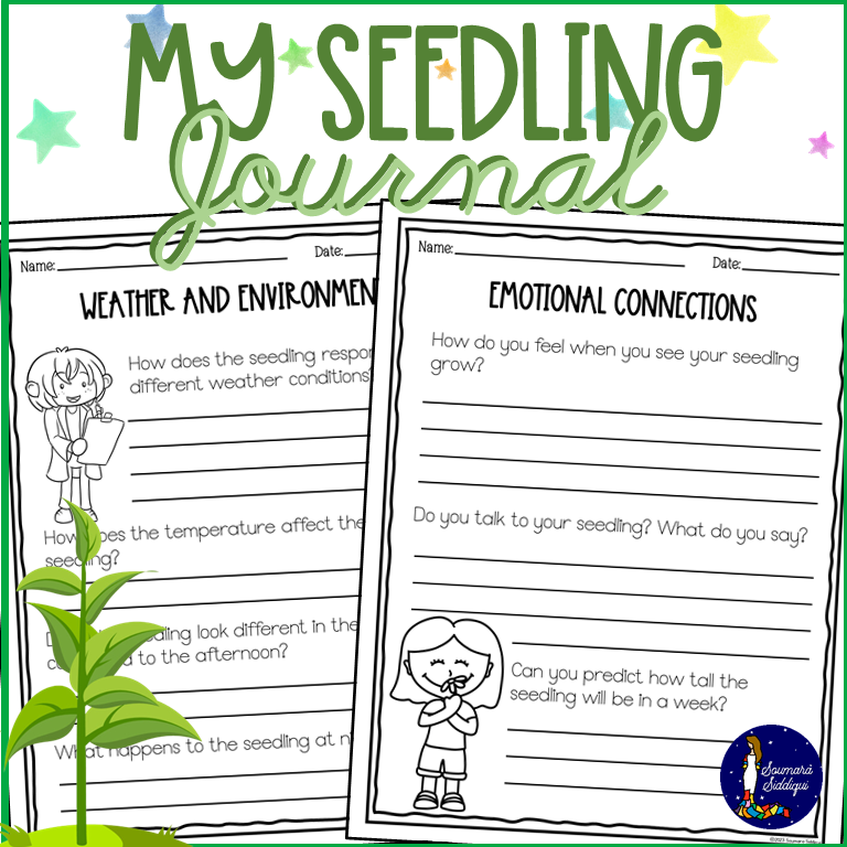 My Seedling Journal - Made By Teachers