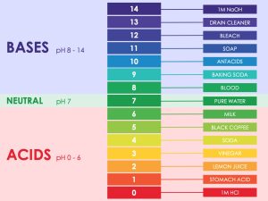 Acids Bases and pH Scale Unit Presentation PPT With Student Summary ...