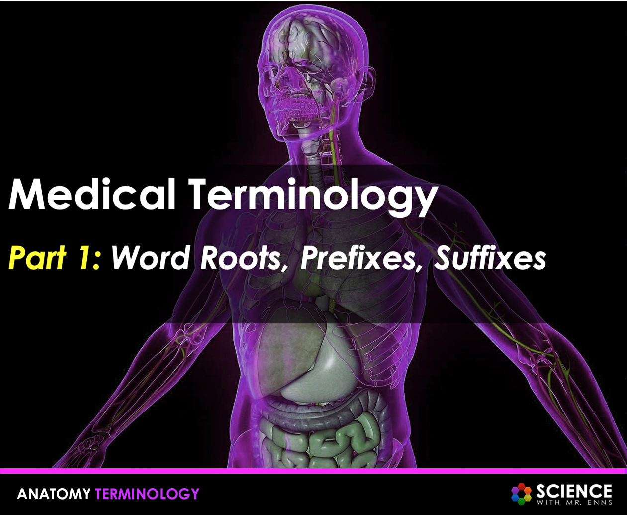 Medical and Directional Terminology for Anatomy Presentation or PPT ...