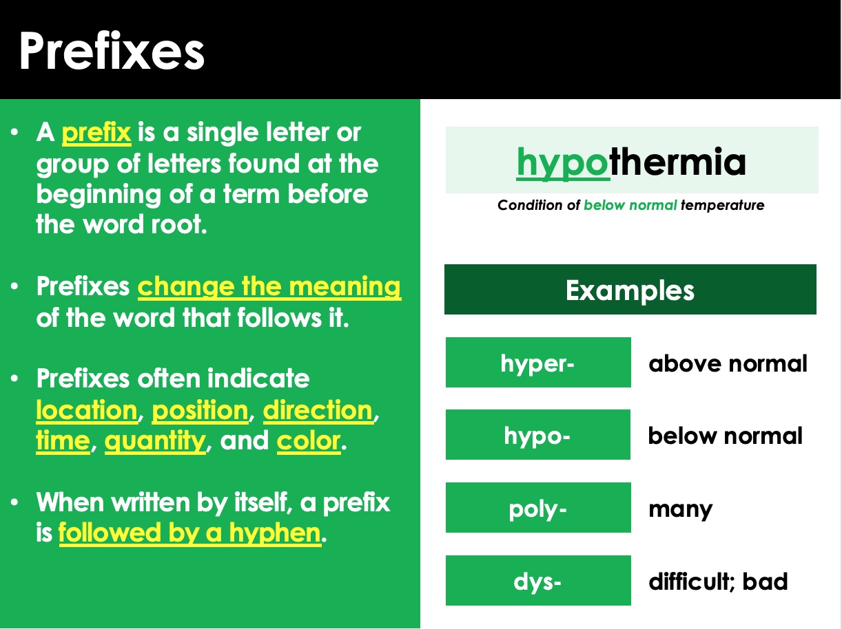 Medical and Directional Terminology for Anatomy Presentation or PPT ...