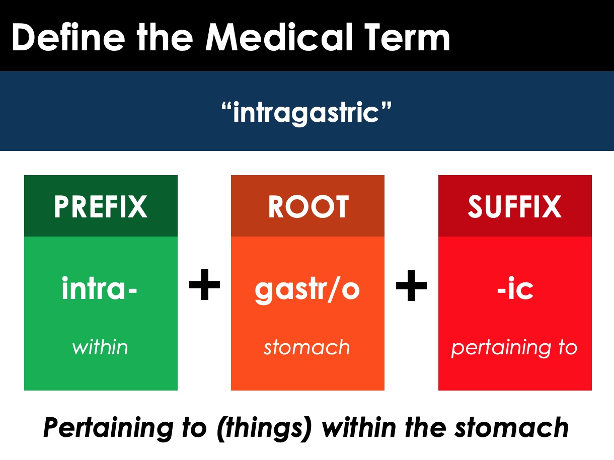 Medical and Directional Terminology for Anatomy Presentation or PPT ...