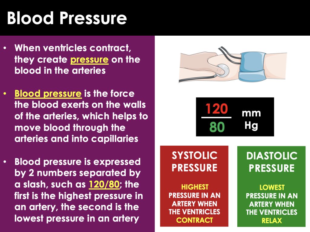 Cardiovascular or Circulatory System Advanced Presentation PPT ...