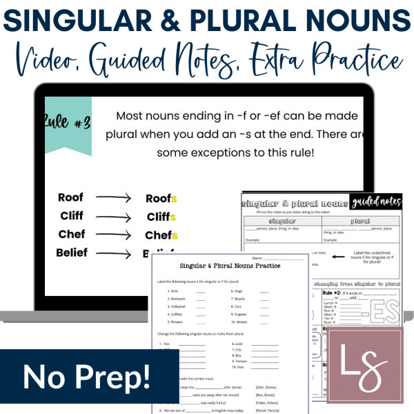 Singular and Plural Nouns Grammar Video Lessons and Worksheets, 5th ...