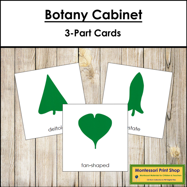 Montessori Botany Cabinet Leaf Shapes 3-Part Cards - Made By Teachers