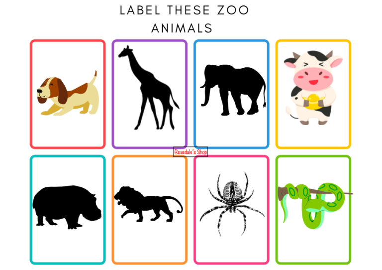 Fun FREE Flashcards: Label these ANIMALS | Print NEW POSTER: More Zoo ...