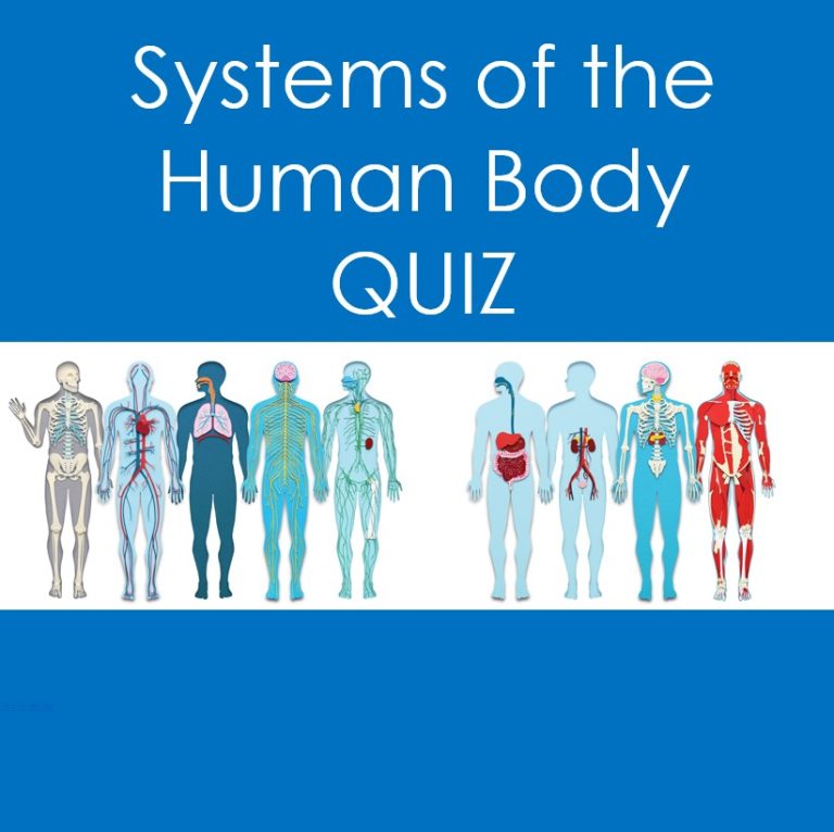 Systems of the Human Body Quiz (Assessment, Anatomy, Biology, Body ...
