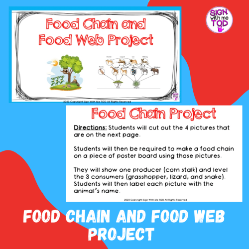 Food Chains and Food Webs Project - Made By Teachers