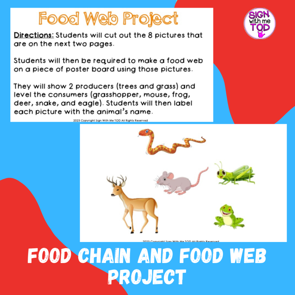 Food Chains and Food Webs Project - Made By Teachers