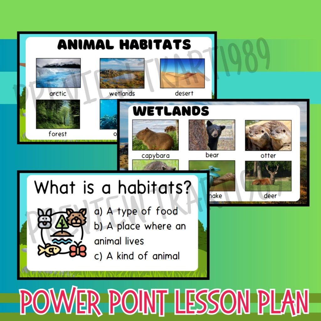 Easy Basic Animal Habitats lesson and quiz PowerPoint for K, 1st grade ...