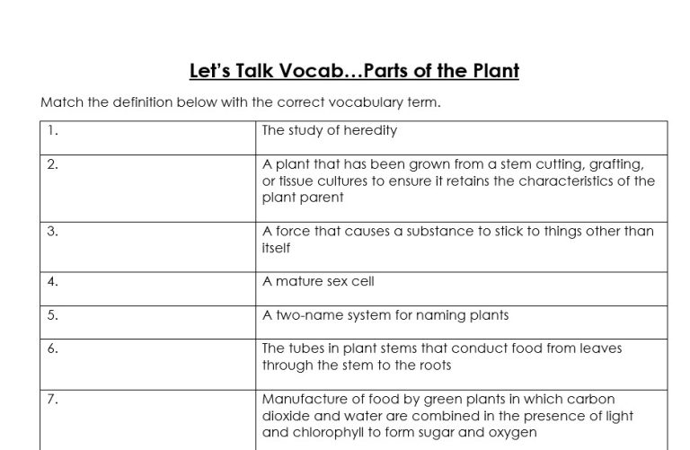 Parts of the Plant Worksheet (Horticulture/Agriculture, Biology, Floral ...