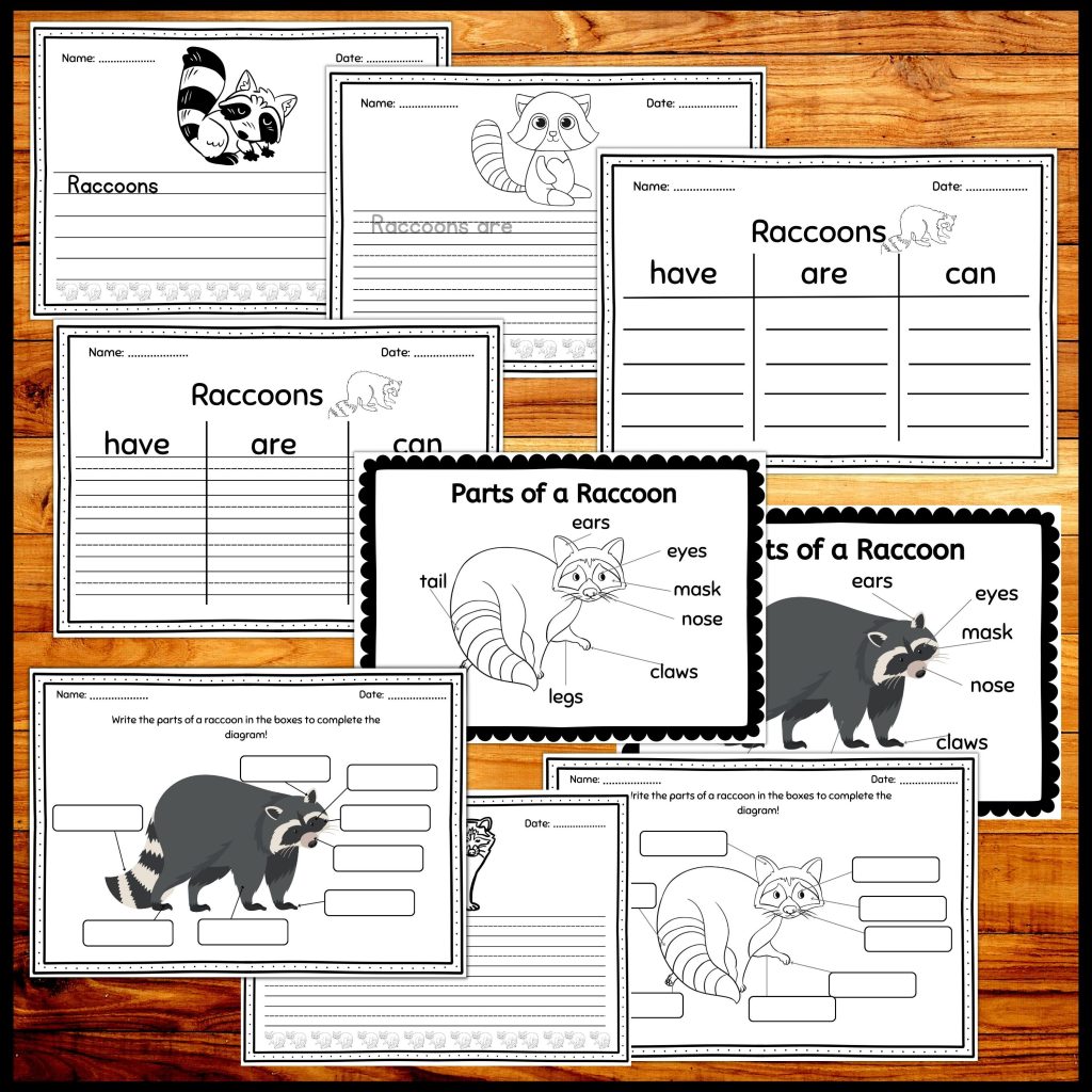 Raccoons Labeling and Writing Activities - Informative Writing Anchor ...