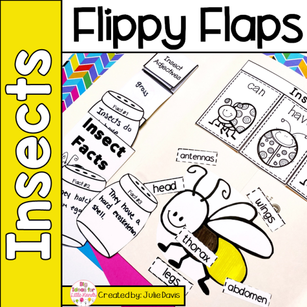 Insects and Bugs Activities - Life Cycle and Craft Interactive Notebook ...