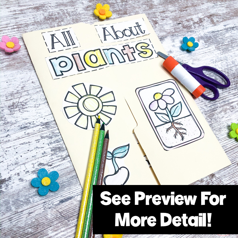 Plant Mini Unit | Parts of a Plant - Life Cycle - Interactive Notebook ...