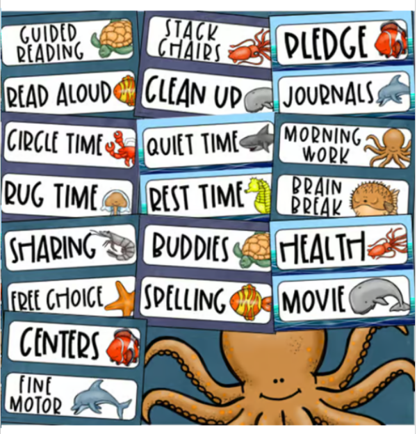 Daily Classroom Schedule Agenda Cards Ocean Under the Sea Theme ...
