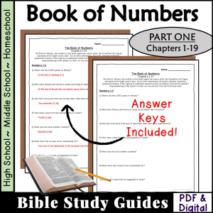 Book of Numbers Bible Study Questions BUNDLE | Made By Teachers