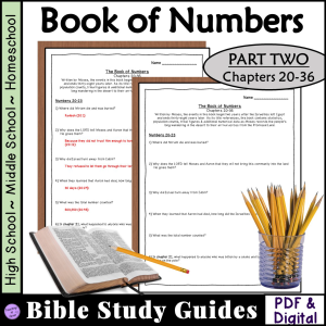 Book of Numbers Bible Study Questions BUNDLE | Made By Teachers