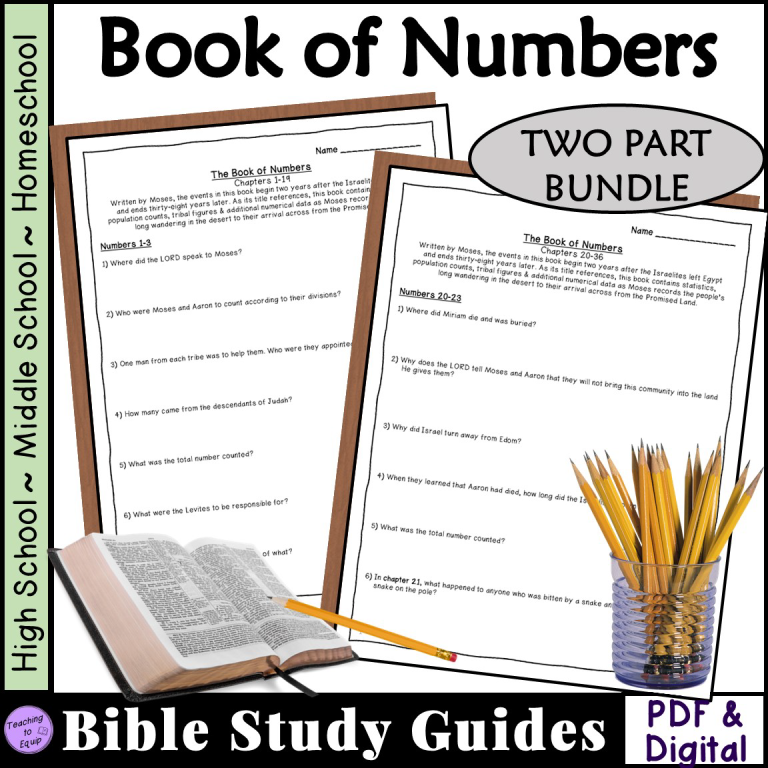 Book of Numbers Bible Study Questions BUNDLE - Made By Teachers