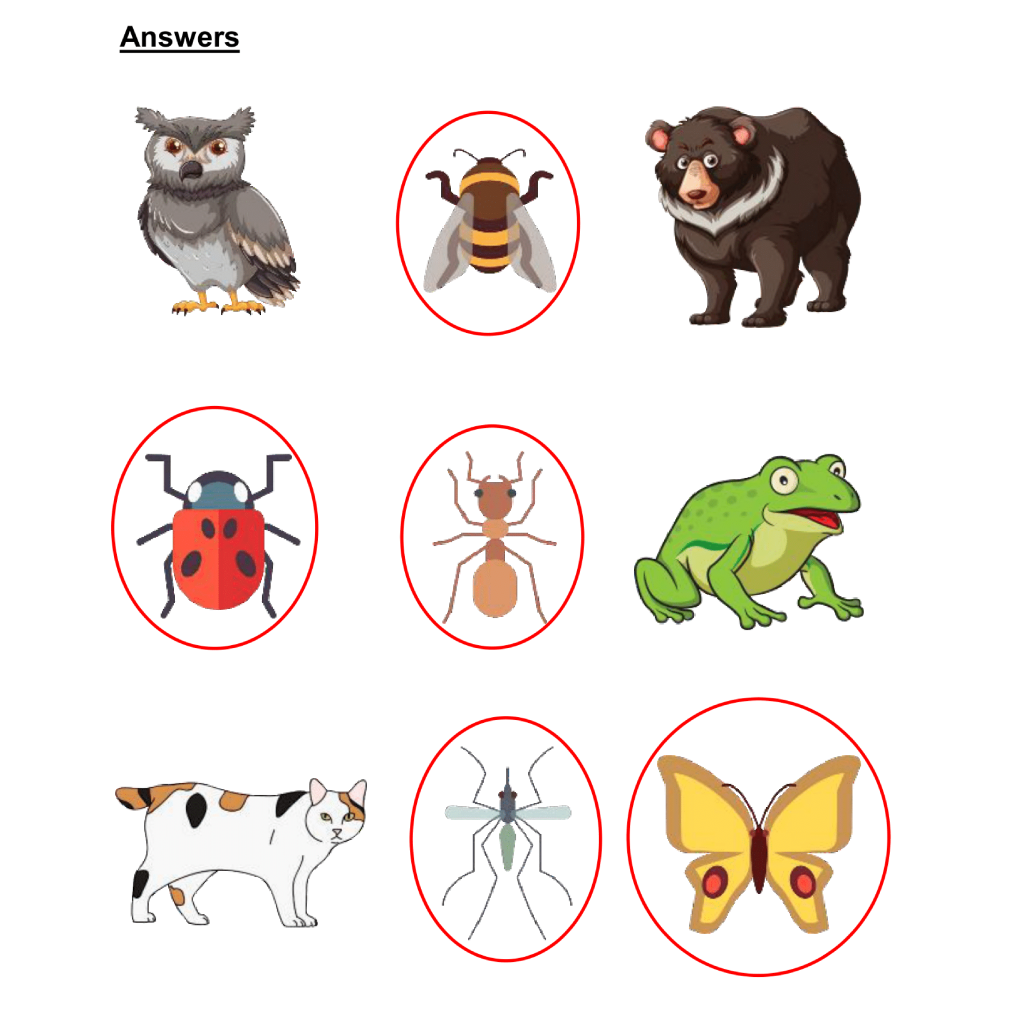 Kindergarten Plants and Animals Worksheets - Made By Teachers