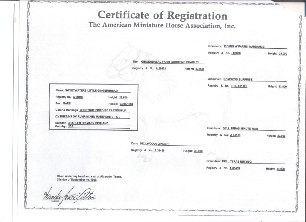 Genetics Kentucky Derby Racehorse Real Life Applications Middle & High ...