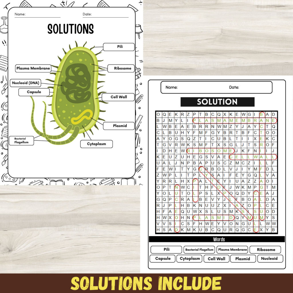 Discovering Bacterial Anatomy: Cell Parts Labeling Worksheet - Made By ...