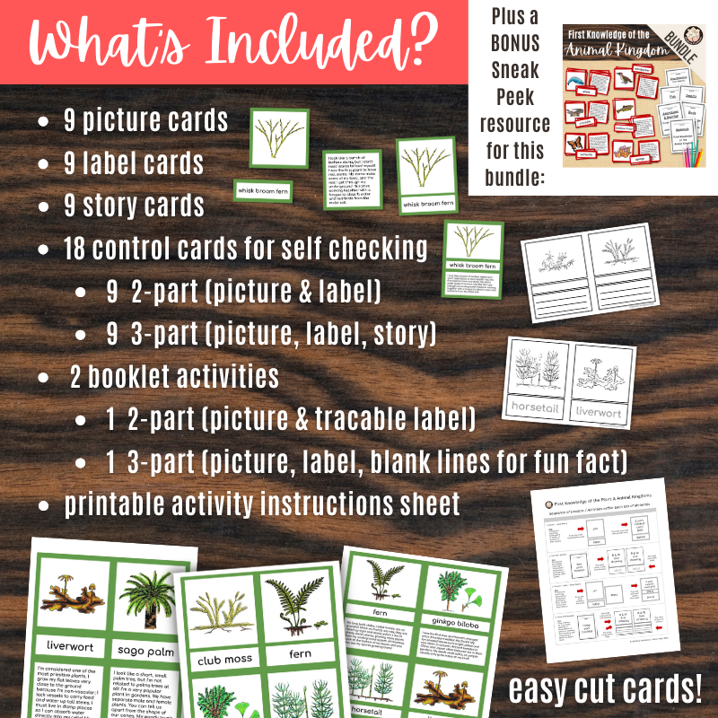 Primitive and Nonvascular Plants Cards Booklet - Montessori Botany ...