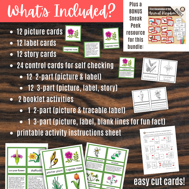 Flowering Plants Cards and Booklets - Montessori Botany Plant Kingdom ...