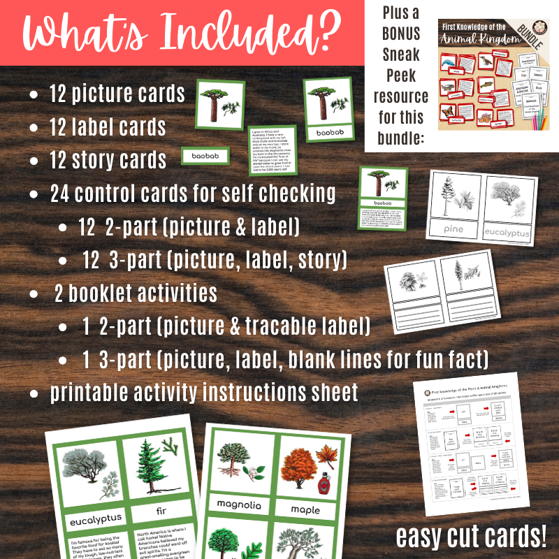 Trees Cards and Booklets - Montessori Botany Plant Kingdom - Montessori ...