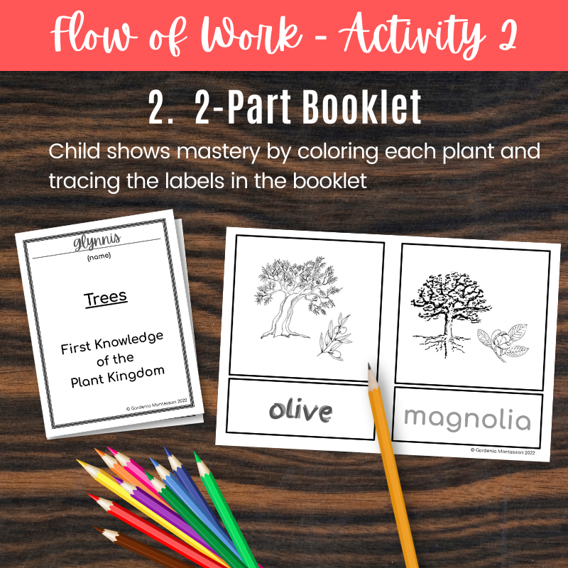 Trees Cards and Booklets - Montessori Botany Plant Kingdom - Montessori ...