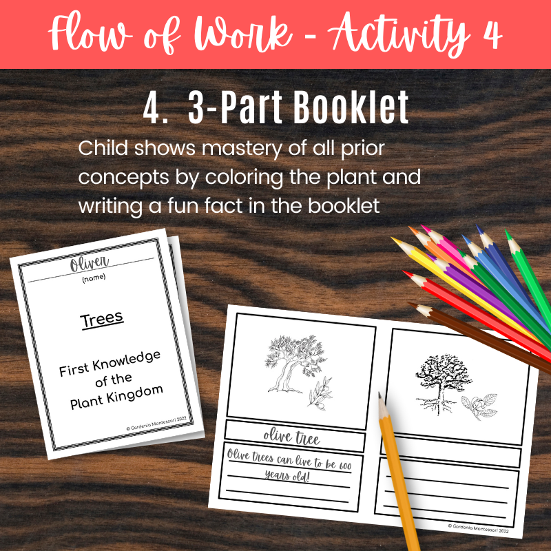 Trees Cards and Booklets - Montessori Botany Plant Kingdom - Montessori ...