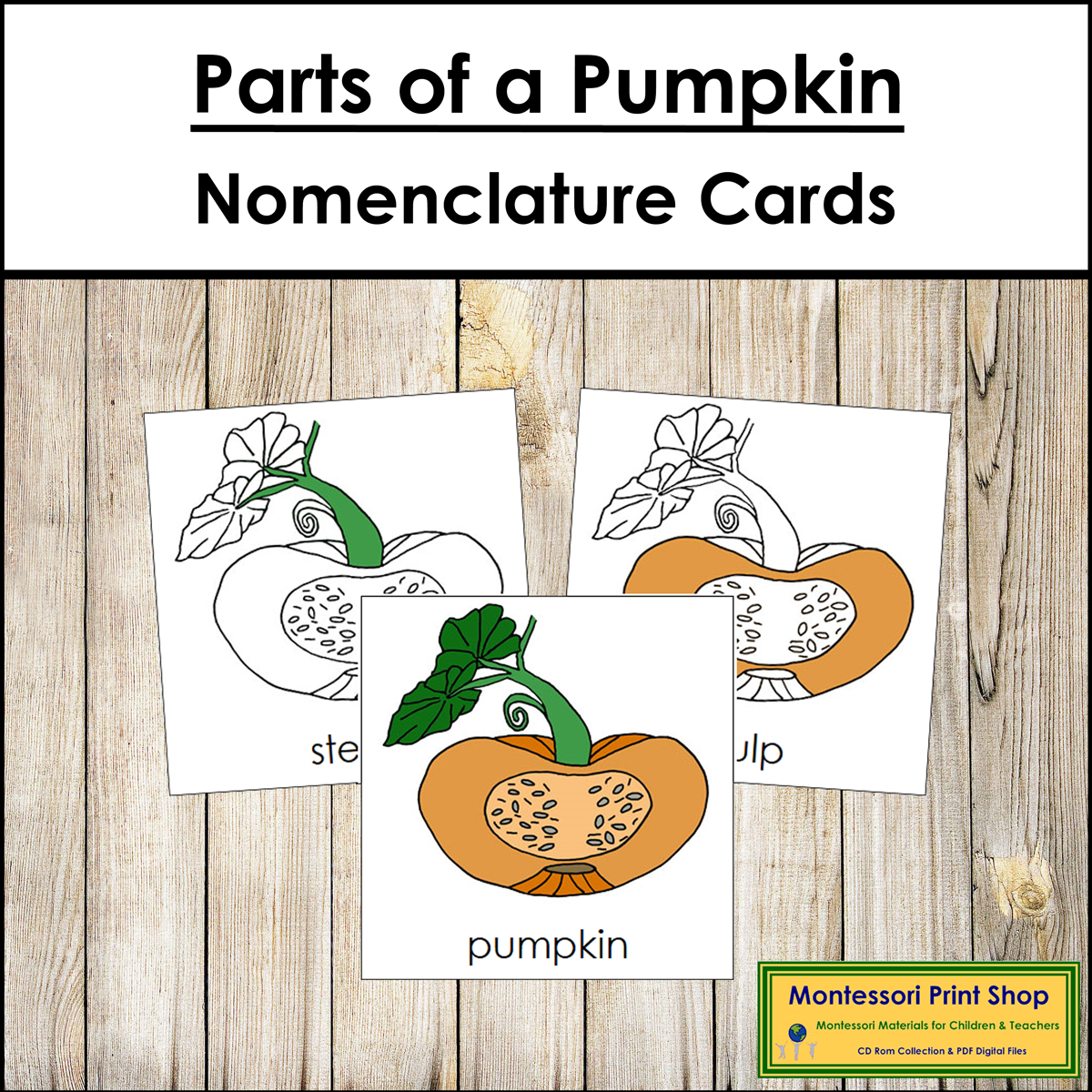 Parts of a Bulb 3-Part Cards - Montessori Nomenclature | Made By Teachers