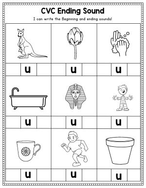 Science of CVC Words Reading, Blending Segmenting, Mapping Workbook for ...