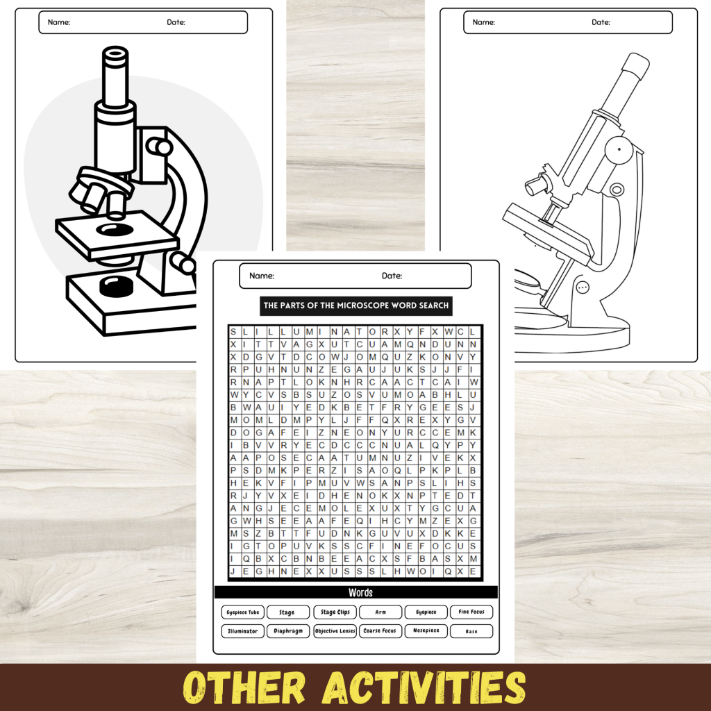 Explore the Microscopic World: Microscope Parts Labeling Worksheet ...