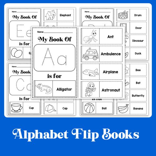 Alphabet Learning Flip Books: Beginning Letters & Sounds Interactive ...