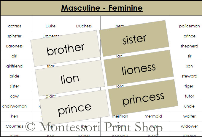 Primary Montessori Grammar Bundle (color-coded) | Made By Teachers