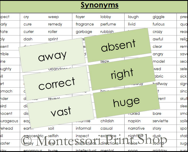 Primary Montessori Grammar Bundle (color-coded) | Made By Teachers