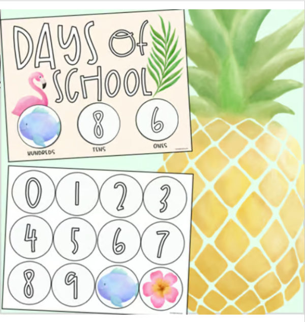Calendar Set Classroom Decor Back to School Watercolor Tropical Theme ...