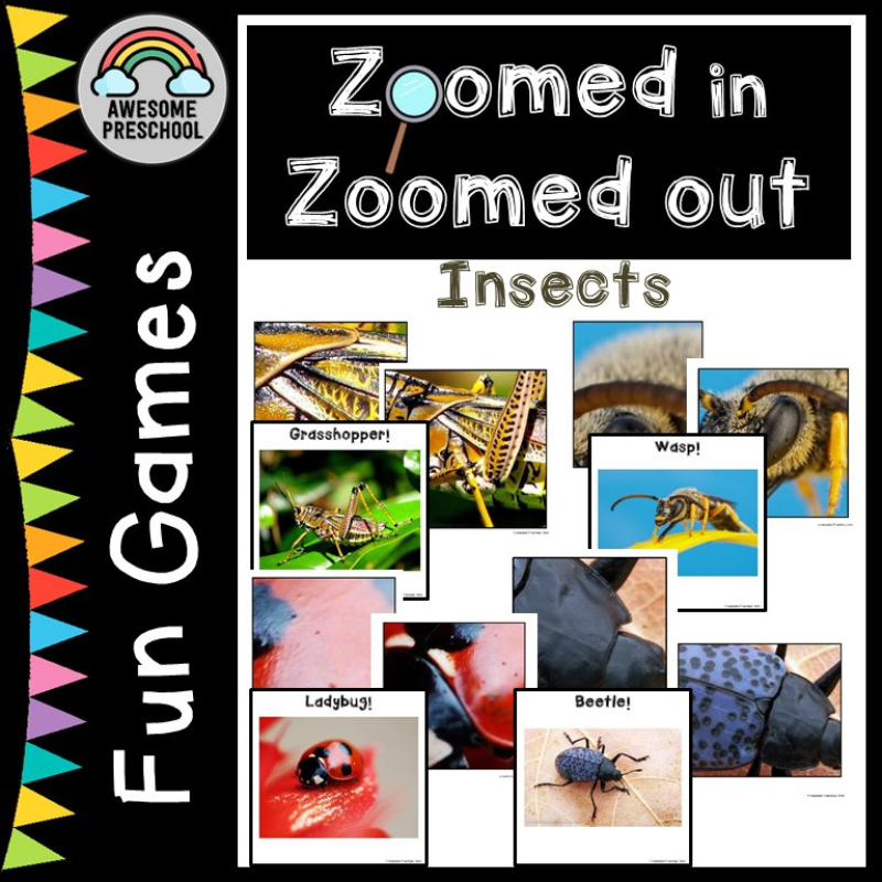 Interactive Insect Exploration: Zoom and Guess Activity Preschool ...