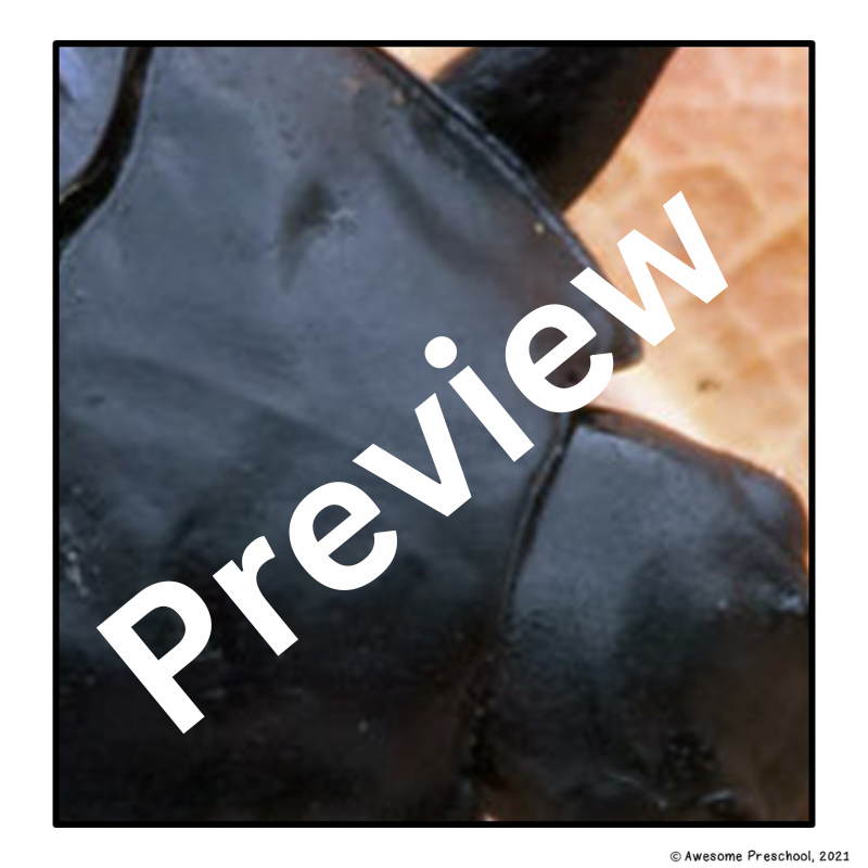 Interactive Insect Exploration: Zoom and Guess Activity Preschool ...