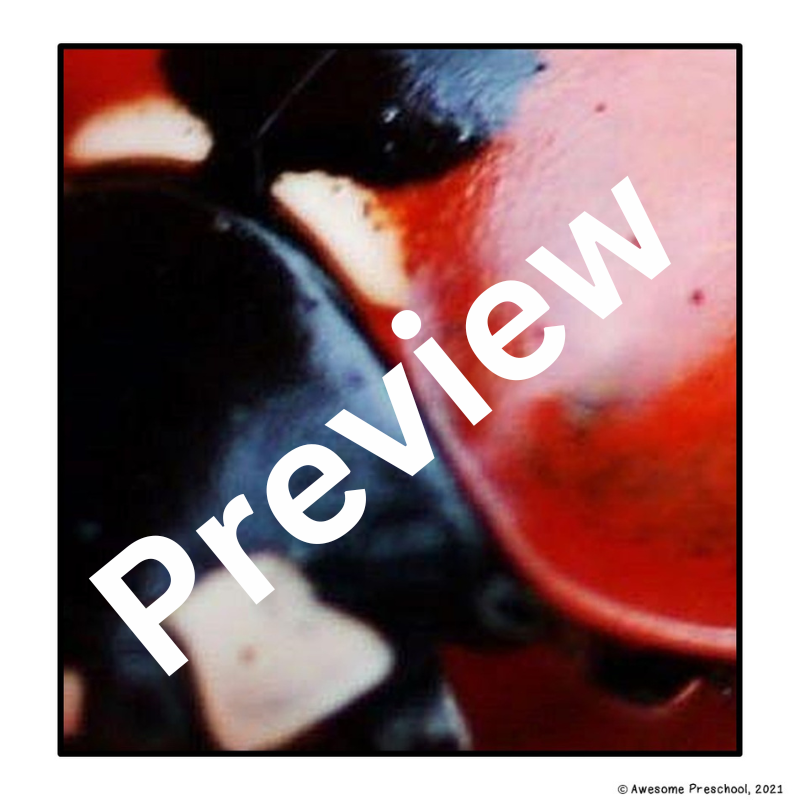 Interactive Insect Exploration: Zoom and Guess Activity Preschool ...