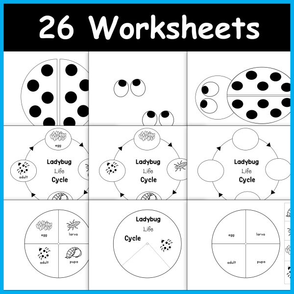 Ladybug Craft | Spring Activity | Learn Ladybug Life Cycle | The ...